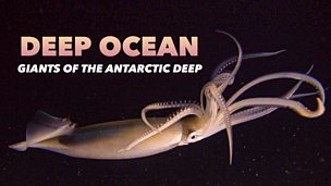 BBC iPlayer - Science & Nature - Featured