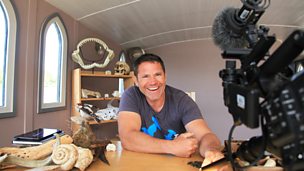 DIY Deadly with Steve Backshall - Series 1: 4. Deadly Towns and Cities - BBC iPlayer