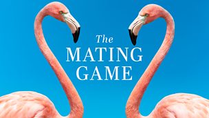 Science & Nature - Featured - BBC iPlayer