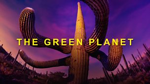 Science & Nature - Featured - BBC iPlayer