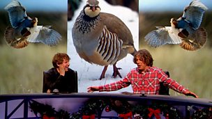 BBC iPlayer - QI - Series N: 14. Numbers