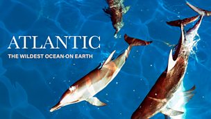 Science & Nature - Featured - BBC iPlayer