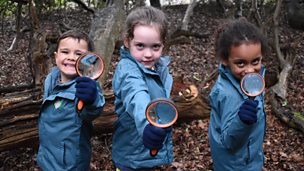 Ranger Hamzas Eco Quest - Series 1: 5. Dead Wood - BBC iPlayer