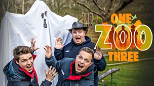 CBeebies - Featured - BBC iPlayer