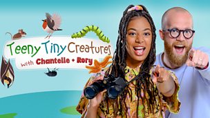 BBC iPlayer - CBeebies - Featured