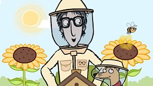 Nick Cope's Popcast - Series 3: 1. Bees - BBC iPlayer