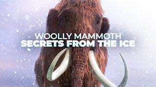 Documentaries - Featured - BBC iPlayer