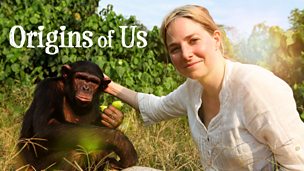 Science & Nature - Featured - BBC iPlayer