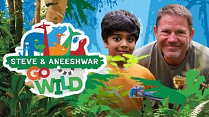 CBBC - Featured - BBC iPlayer