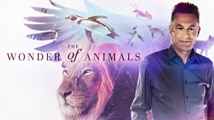 Science & Nature - Featured - BBC iPlayer