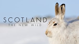 Science & Nature - Featured - BBC iPlayer