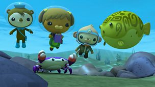Octonauts: Above & Beyond - Series 3: 20. Missing Shell - BBC iPlayer