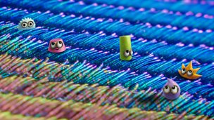 Tiny Wonders - Series 2: 7. Peacock Feather - BBC iPlayer
