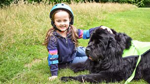 Dog Squad - Series 2: 20. Mission: Day Off - BBC iPlayer