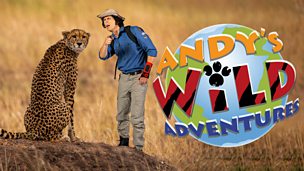 CBeebies - Featured - BBC iPlayer