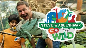 BBC iPlayer - CBeebies - Featured