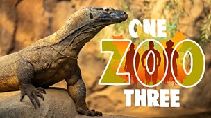 CBeebies - Featured - BBC iPlayer