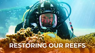 Science & Nature - Featured - BBC iPlayer