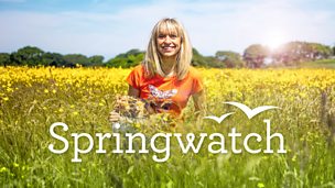 BBC iPlayer - BBC Two