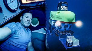 Deadly 60 - Series 5: 6. The Deep - BBC iPlayer