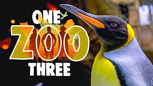 CBeebies - Featured - BBC iPlayer