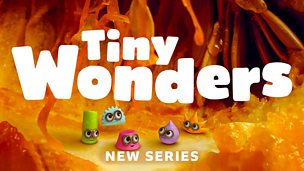 CBeebies - Featured - BBC iPlayer