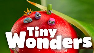 CBeebies - Featured - BBC iPlayer