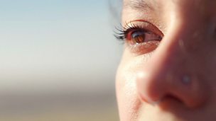 Watch S4C live - BBC iPlayer