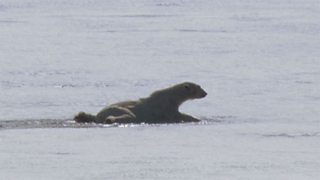 BBC One - Planet Earth - Clips