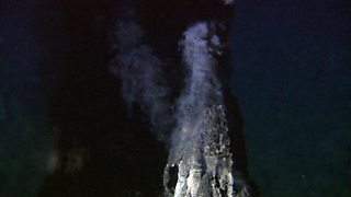 BBC One - The Blue Planet, The Deep, Deep surprises