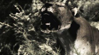 BBC Two - Wild New World