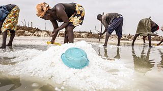BBC World Service - The Documentary, Salt, Salt and its Diverse History ...