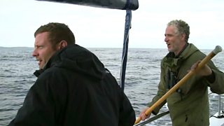 BBC Two - Into the Wild with Gordon Buchanan