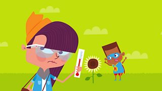 Working scientifically - KS2 Science - BBC Bitesize