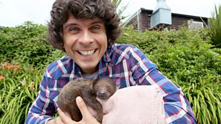 CBeebies - Andy's Baby Animals