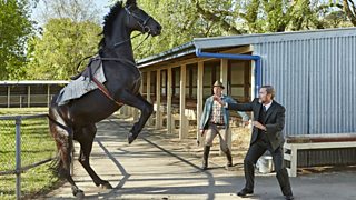 BBC One - The Doctor Blake Mysteries, Series 4 - Episode guide