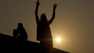 BBC One - Planet Earth II - Ten things you should know about yetis