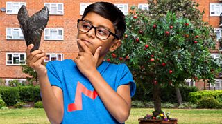 CBeebies - 3rd and Bird