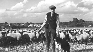 BBC Radio 4 - Farming Today