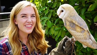 CBeebies - Nuzzle and Scratch