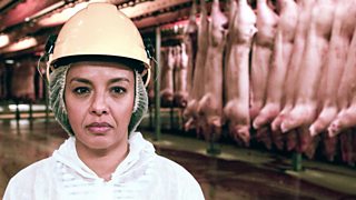 BBC One - Meat: A Threat to Our Planet?