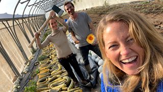 BBC Radio 4 - Farming Today - Downloads