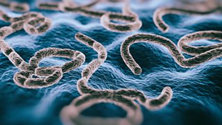 BBC World Service - Science In Action