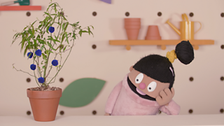 People who help us - Foundation Stage The World Around Us - BBC Bitesize