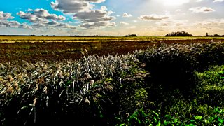 BBC Radio 4 - Open Country