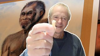 BBC World Service - Witness History, Siegfried and Roy tiger attack ...