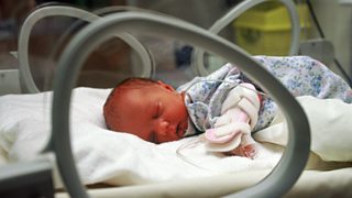 Body systems - 3rd level Science - BBC Bitesize