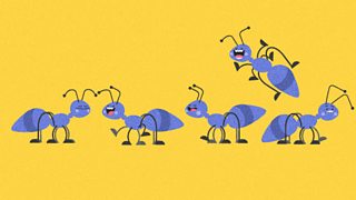 What are computer bugs? - BBC Bitesize