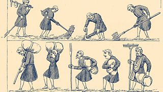 Medieval Agricultural Revolution