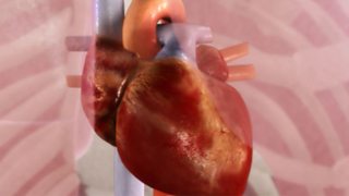 TGAU Bioleg - BBC Bitesize